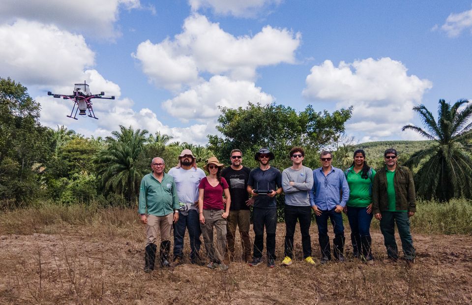 Morfo accelerates reforestation with AI and drones - Hello Future