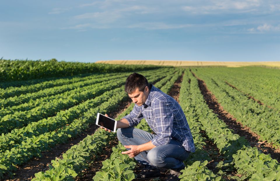 Modèle de recherche Warwick AgriTech : des robots pour mieux doser les herbicides - Hello Future